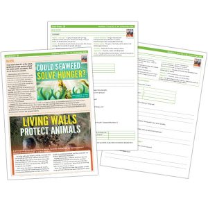 Discover Our News Literacy Products | First News Education