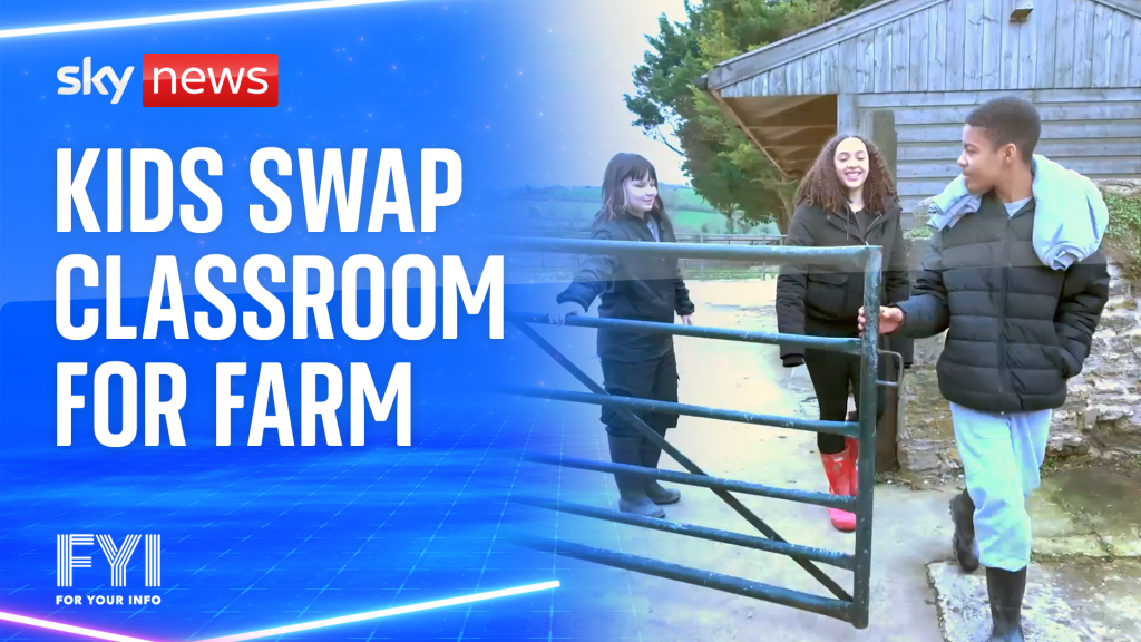 Kids swap classroom for farm (02:40) - First News Education