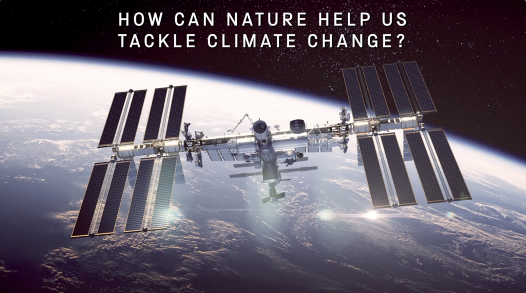 Part 1: How can nature help us tackle climate change? - First News ...