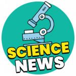 The Newspaper for School Learning | First News Education