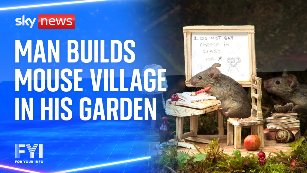 OMG! Man builds mouse village in his garden (00:26) - First News Education