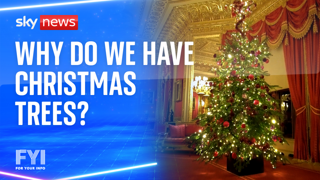 Why do we have Christmas trees? (02:43) - First News Education