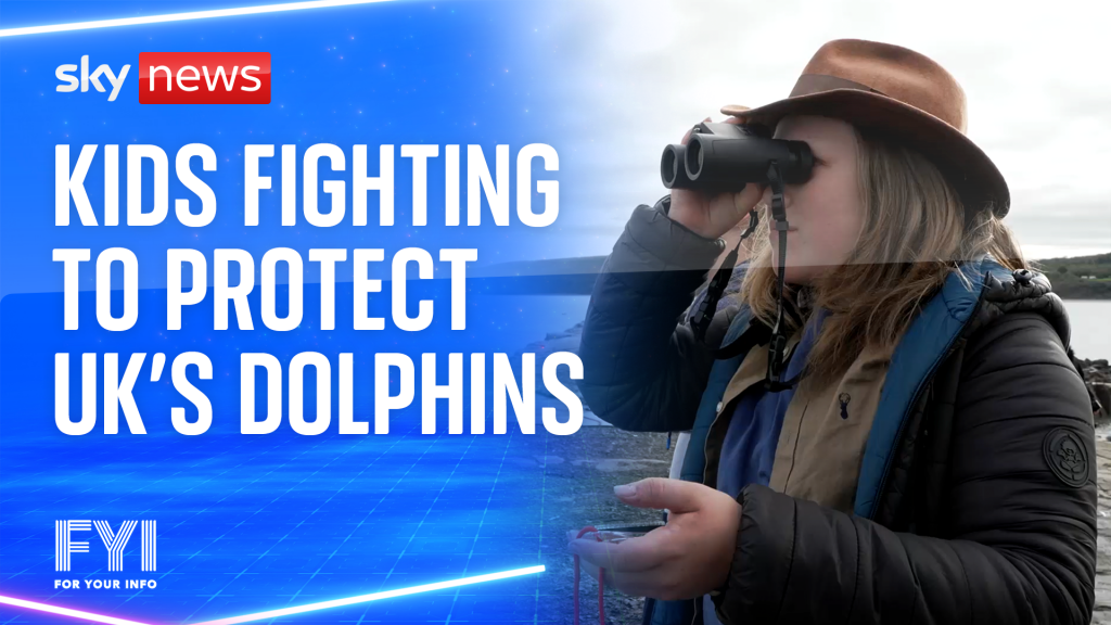 Kids fighting to protect UK's dolphins (02:17) - First News Education