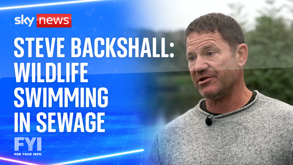 Steve Backshall: Wildlife swimming in sewage (02:11) - First News Education