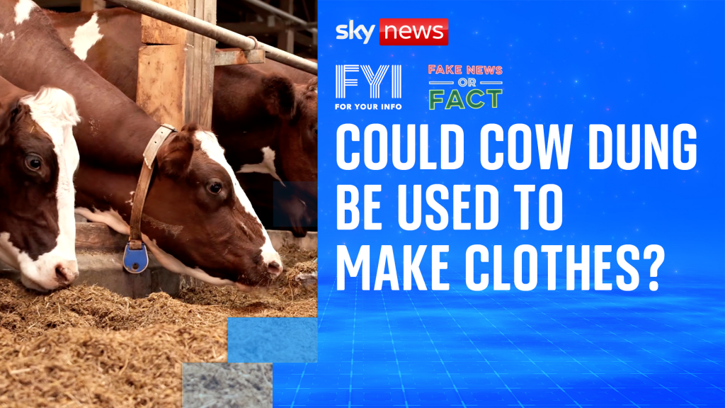 S3 E3: Fake News or Fact (01:13) - First News Education